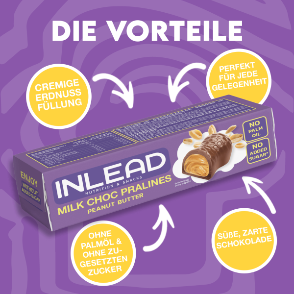Inlead Protein Sahne 500g, 19,96